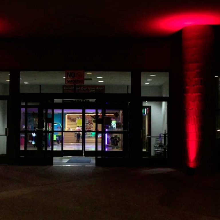 ADJ Element QAIP draadloze accu LED spot - Kit van 6 huren? » ENTERTAINIT!